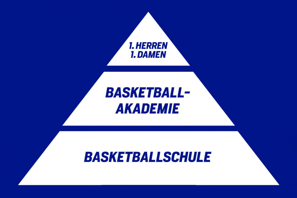 Struktur - DTV Basketball Köln